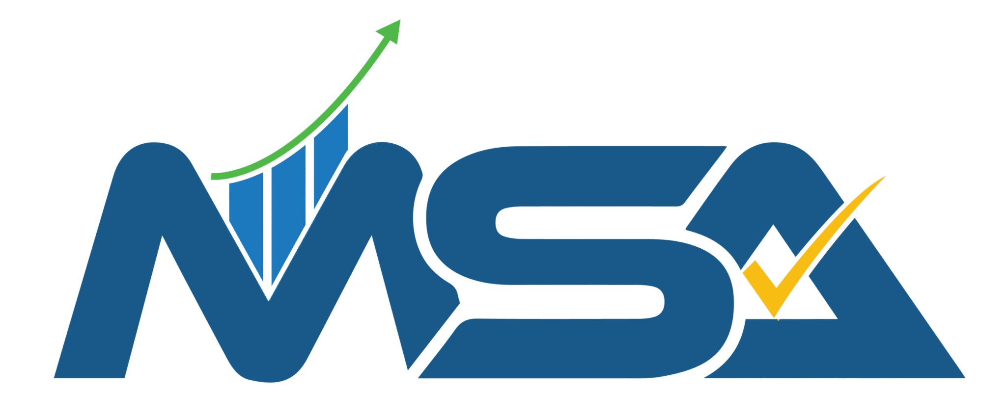 MSA Consulting Services LLP